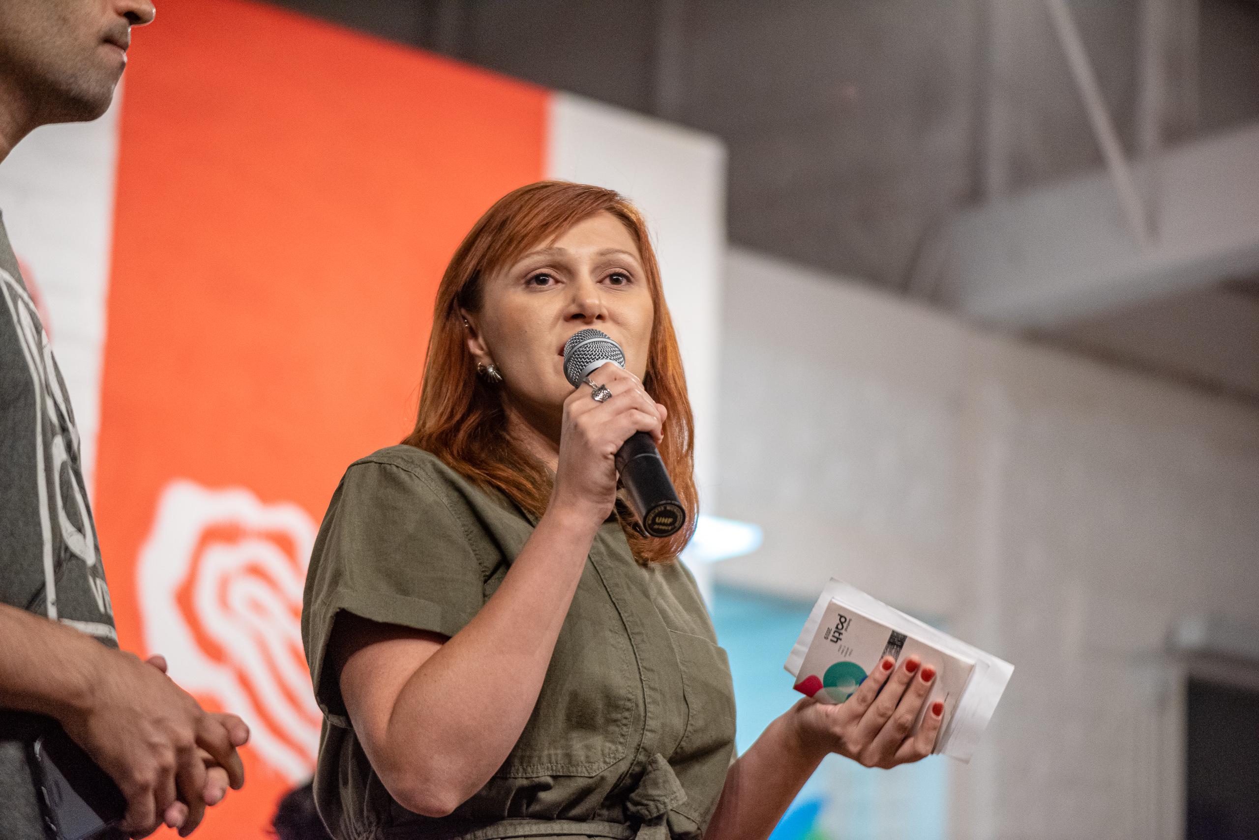 Mapa Goiano - Denise Procópio - Mapa Goiano